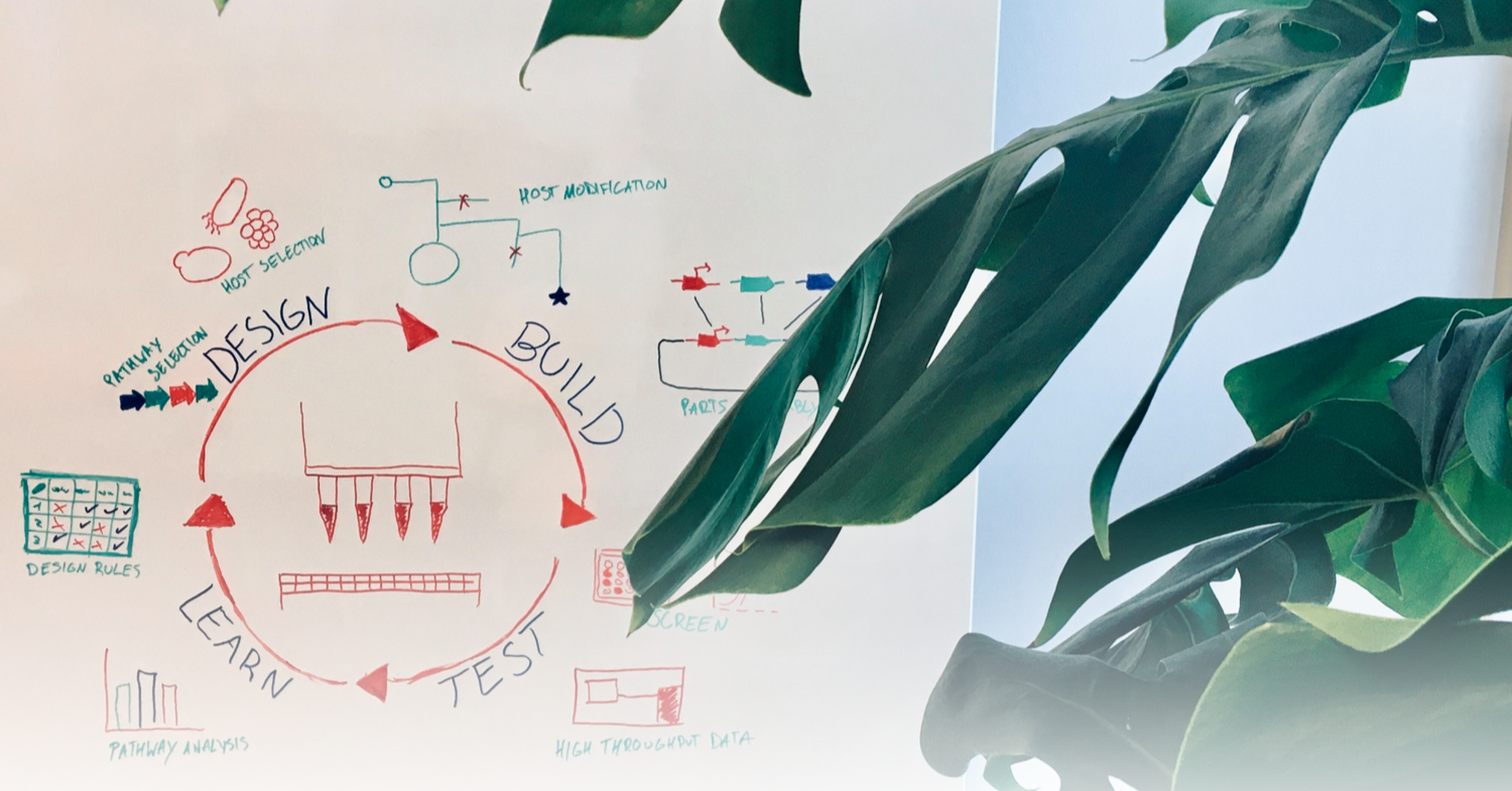 Who Holds The Keys To The Future Of Synthetic Biology